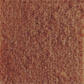 muskatrieksts (nutmeg) - Spoki