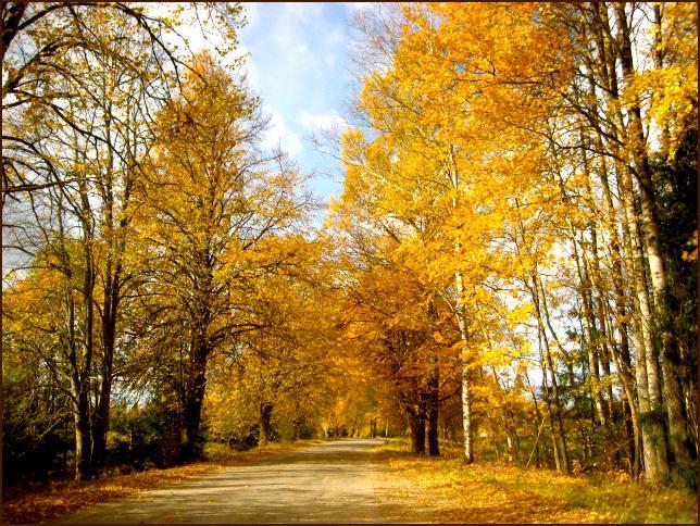 Zelta Rudens Siguldā - Spoki