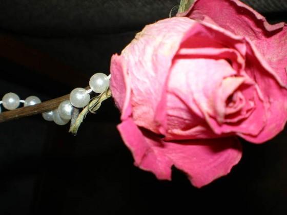 Labi vārdi dzīvei. - Spoki