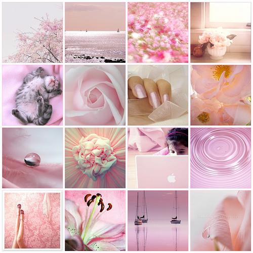 Pink Life * - Spoki - bildes 2