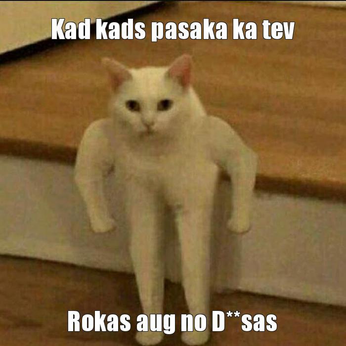 Spoku memes - labakie