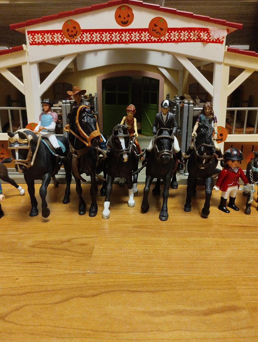 Aptauja par zirgiem 😁 - Spoki