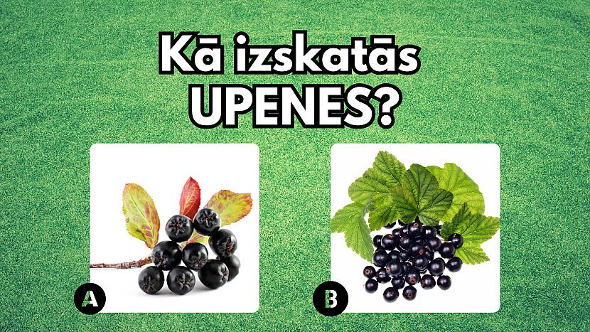 Tests: Vai tu vari pareizi atpazīt ogas un augļus, ja doti tikai to ...